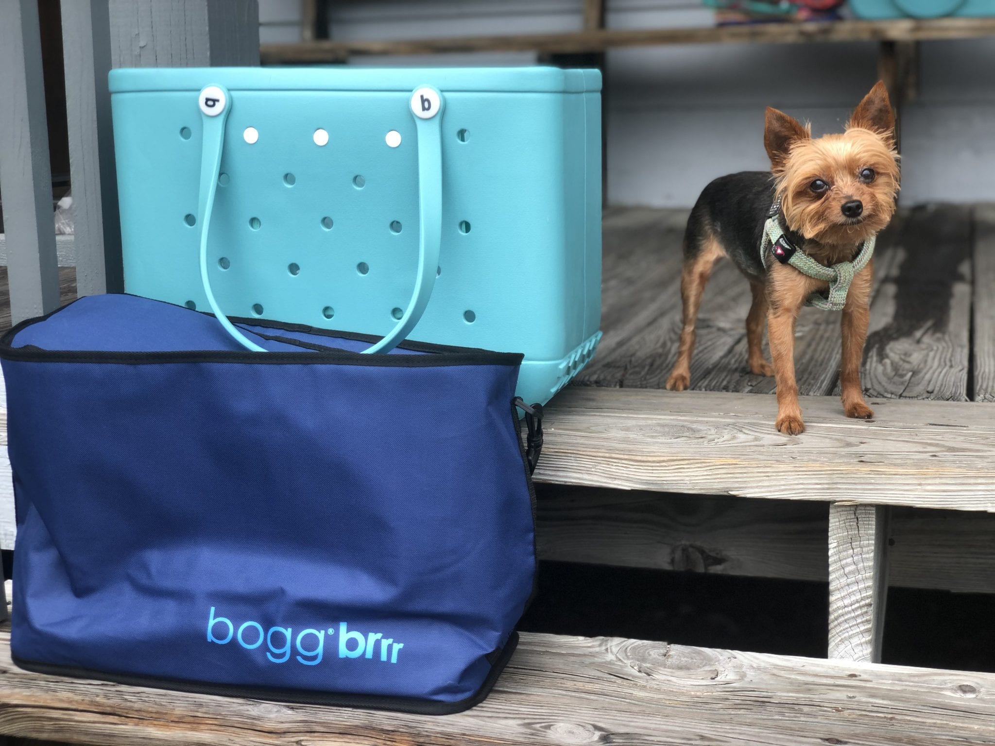 Original Bogg Brrr (Large Cooler Insert) - Callahan's Of Calabash ...
